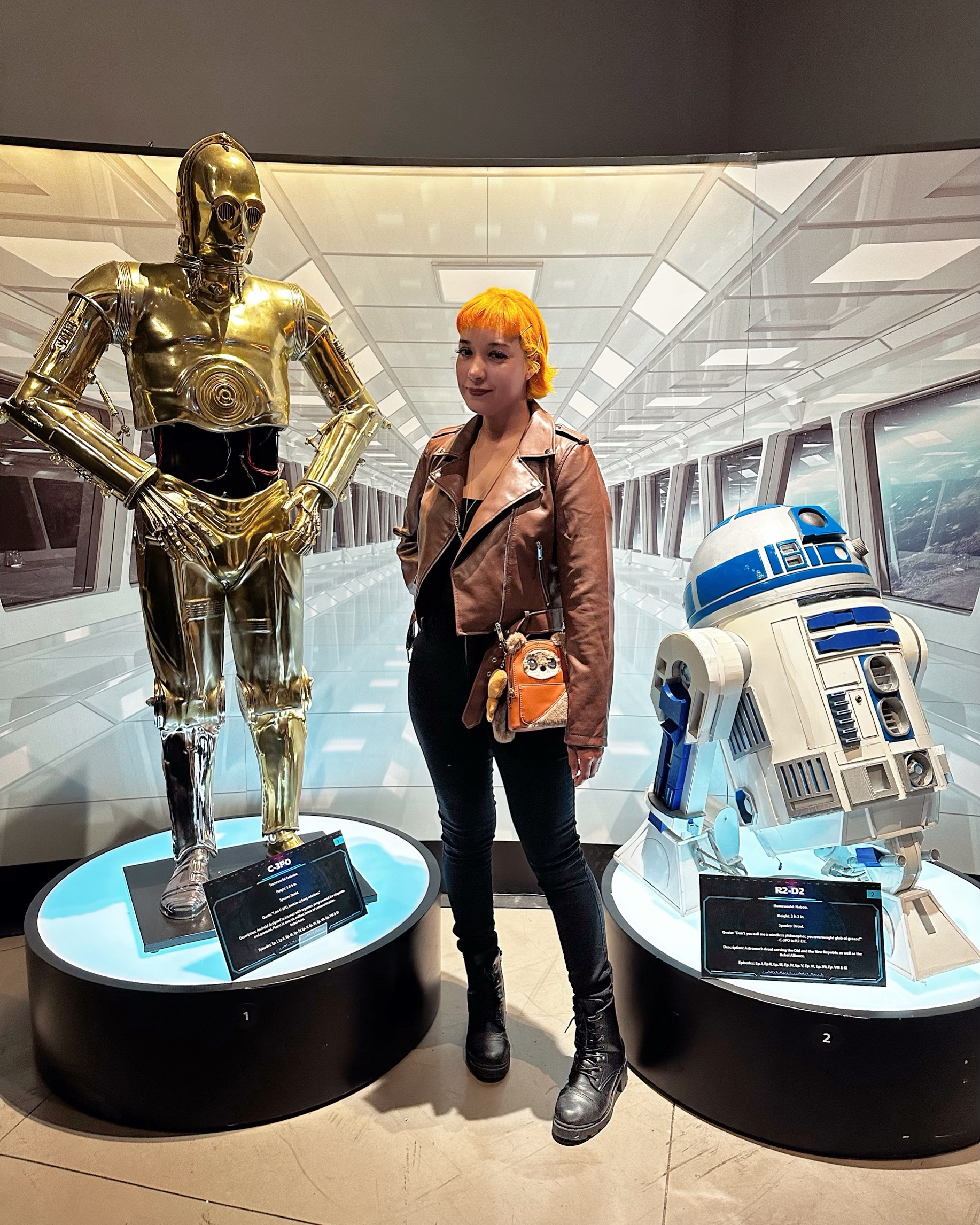 Star Wars: The Fans Strike Back Exhibit – Complex_Kari